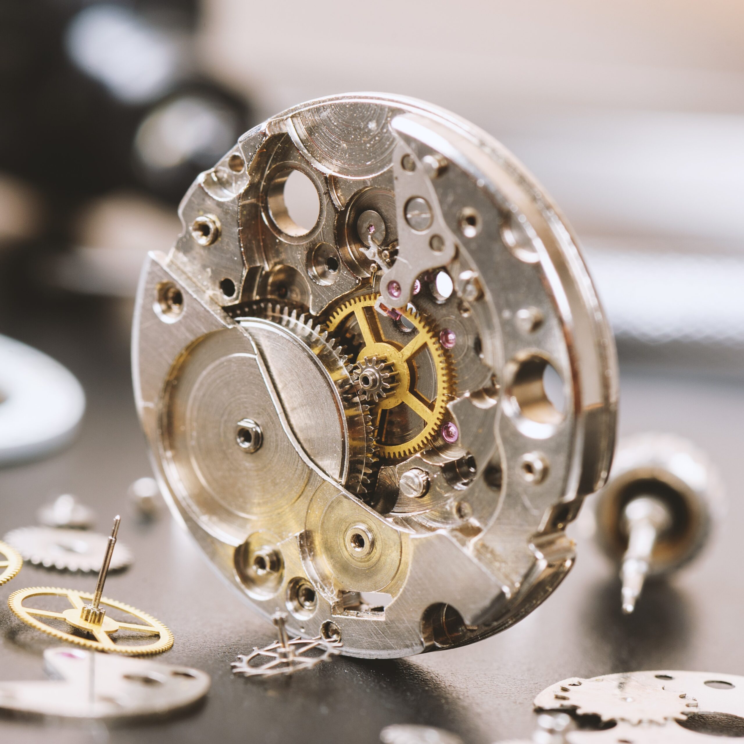 parts of automatic wristwatch - SPR Microtech Sdn Bhd - High Precision ...